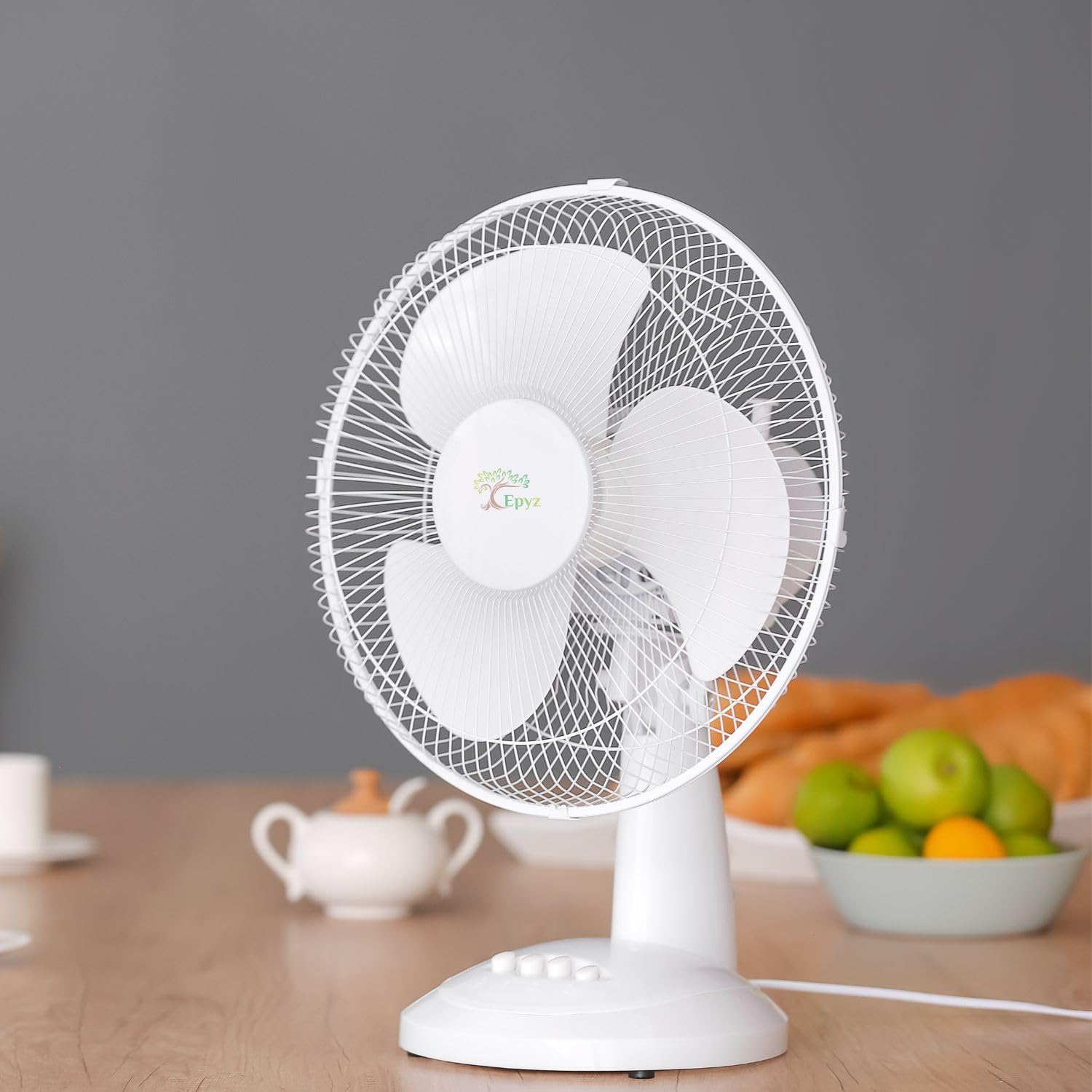 Solar Fan Lights – Rechargeable & Portable with LED Lighting